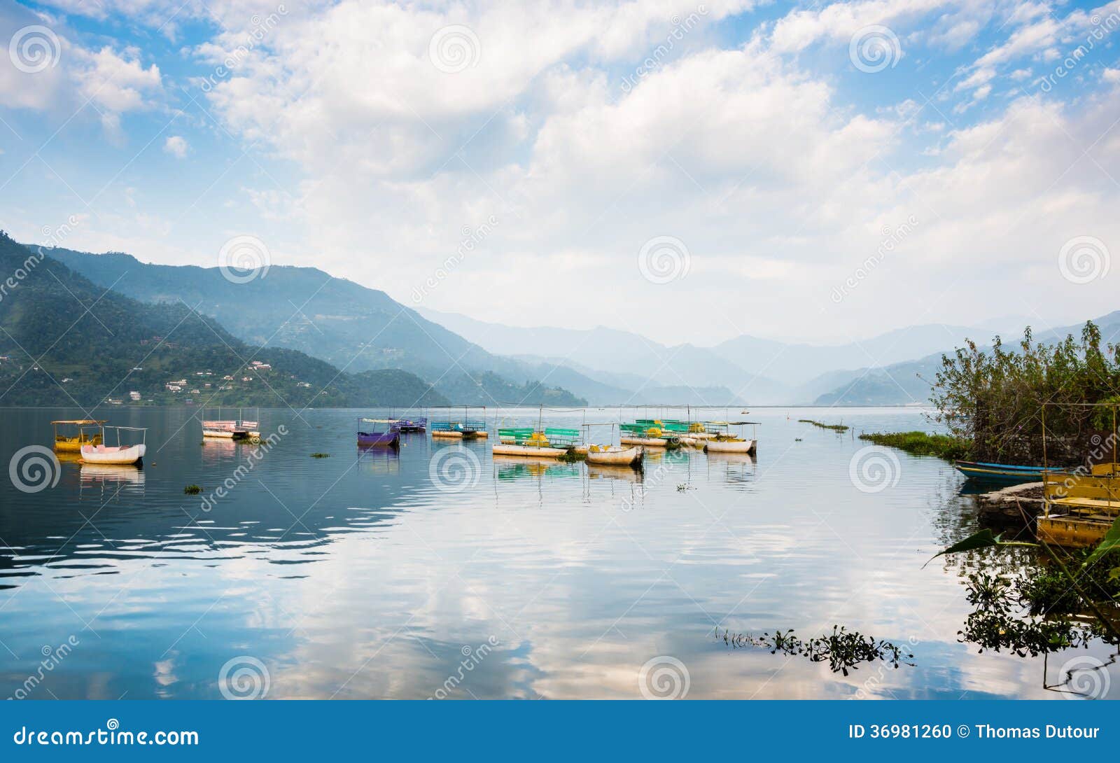 Lago Phewa in Pokhara fotografia stock. Immagine di motoscafi - 36981260