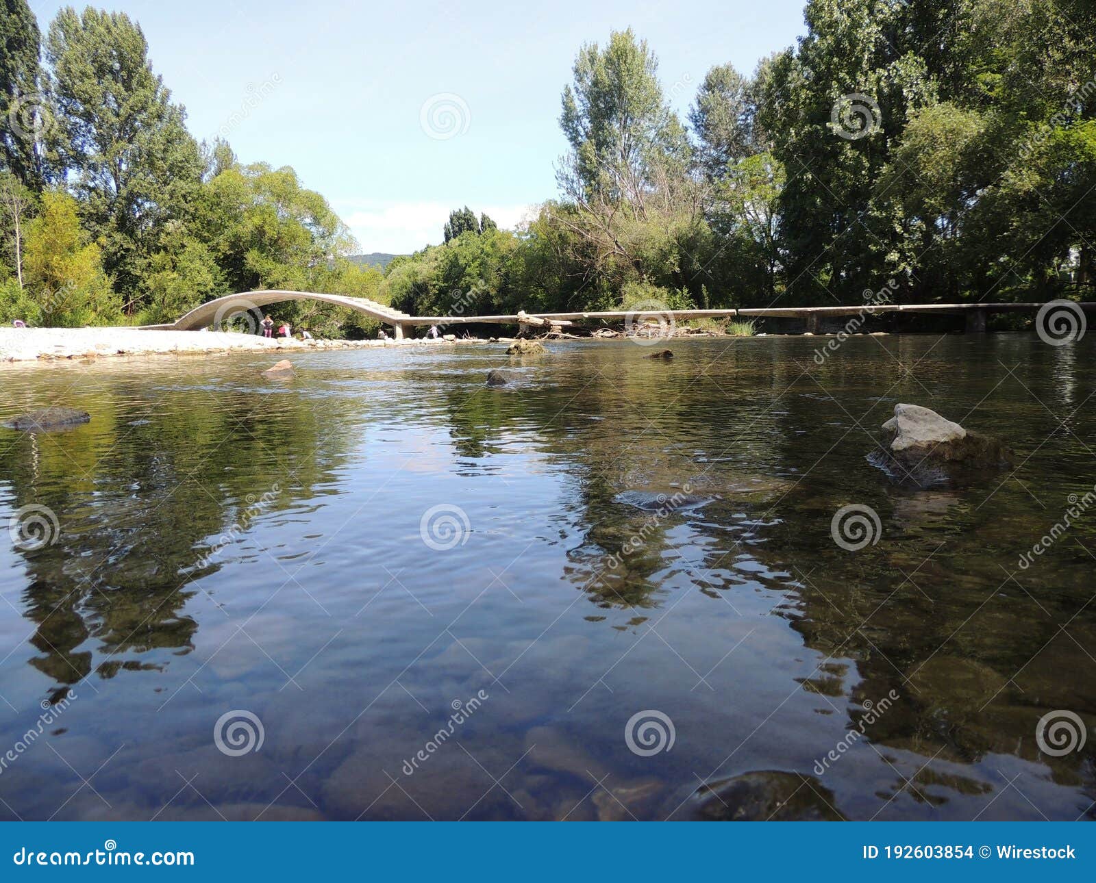 Lago Poco Profundo Con Piedras En El Parque Verde Foto de archivo ...