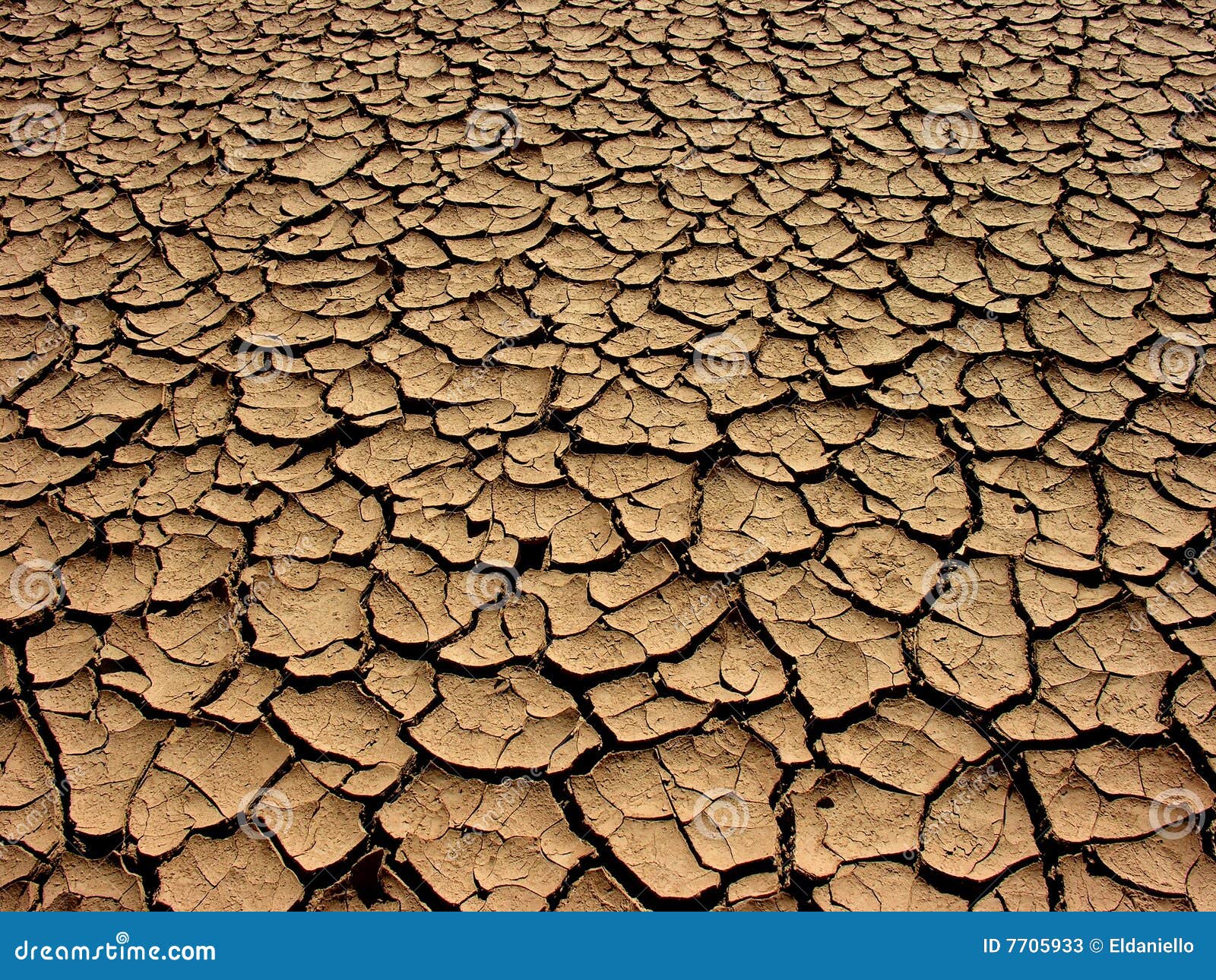 LAGO SECO imagen de archivo. Imagen de campo, crezca, cubo - 7705933