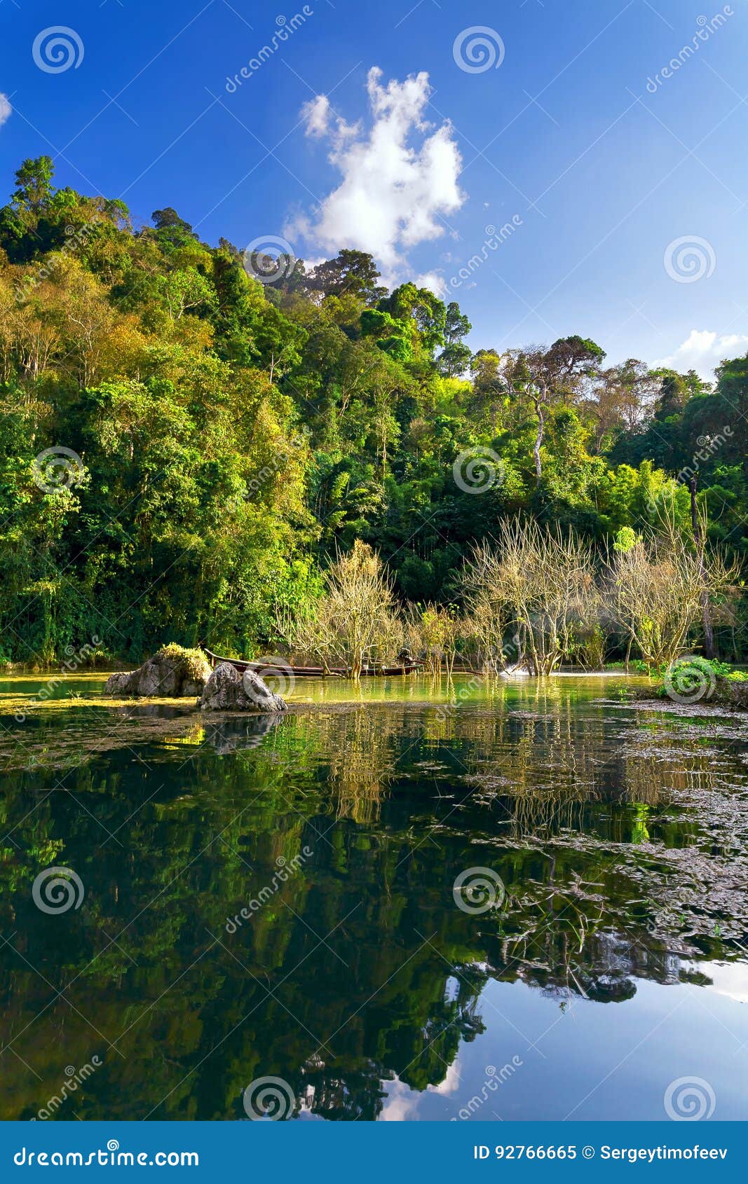 Lago, selva, pantano imagen de archivo. Imagen de cubo - 92766665