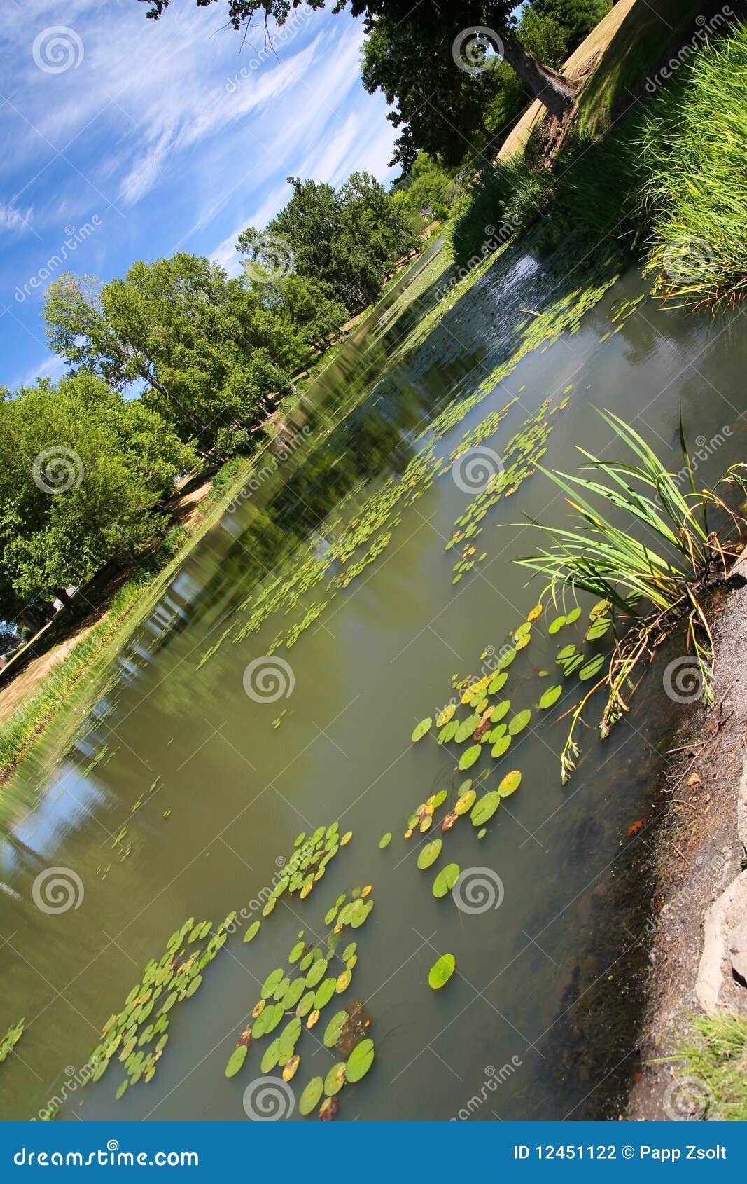 Lago sesgado foto de archivo. Imagen de washington, cielo - 12451122