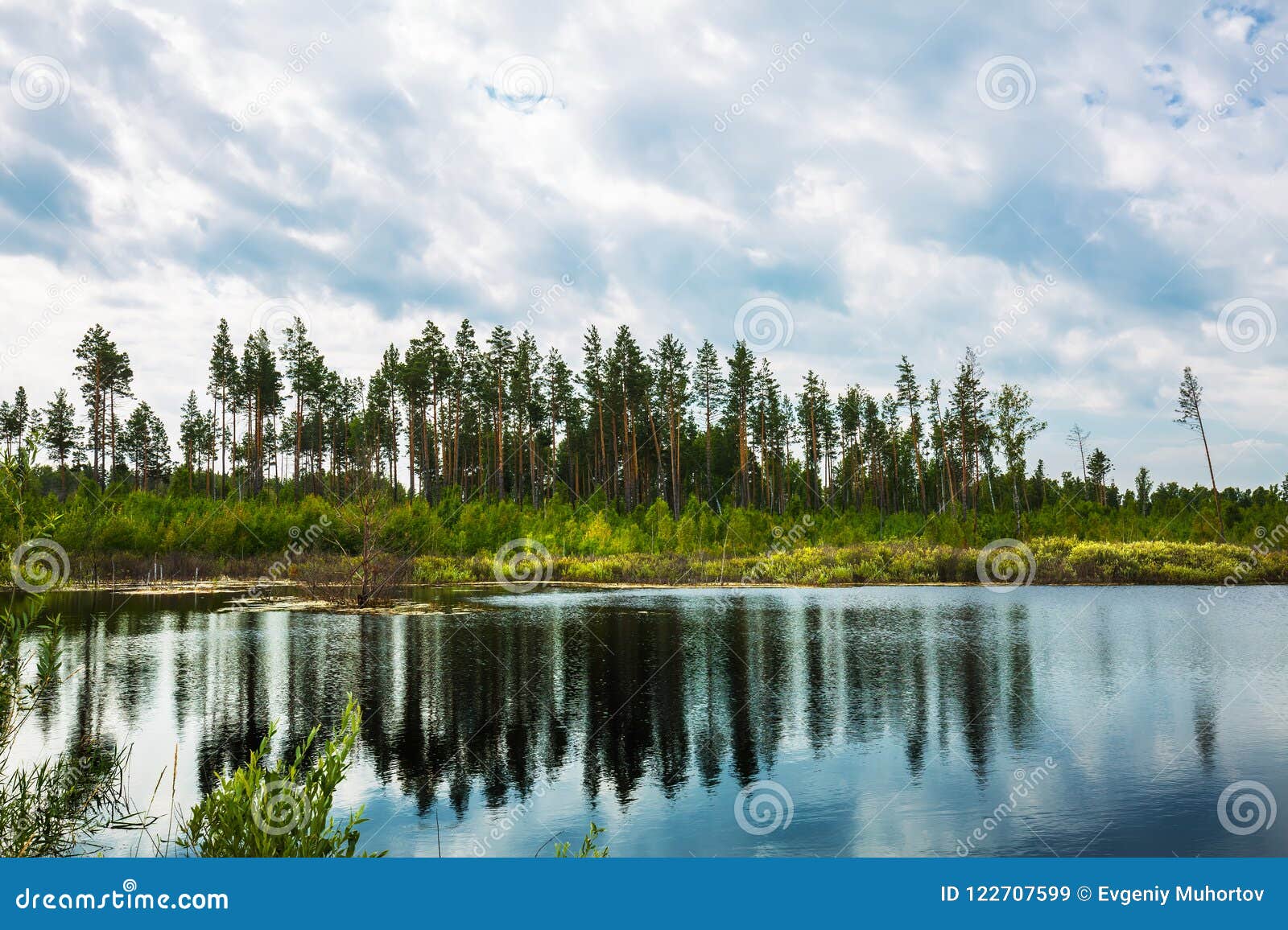 Lago Taiga Siberia, Rusia imagen de archivo. Imagen de abandonado ...