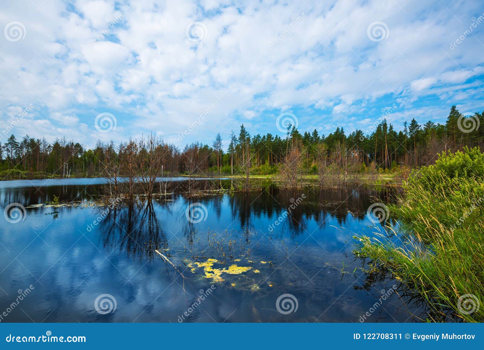 Lago Taiga Siberia, Rusia imagen de archivo. Imagen de nublado - 122708311