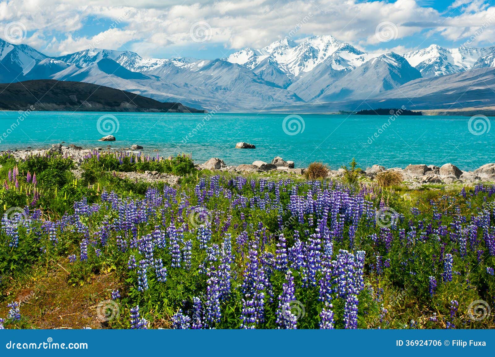 Lago Tekapo foto de archivo. Imagen de prado, cielo, nuevo - 36924706