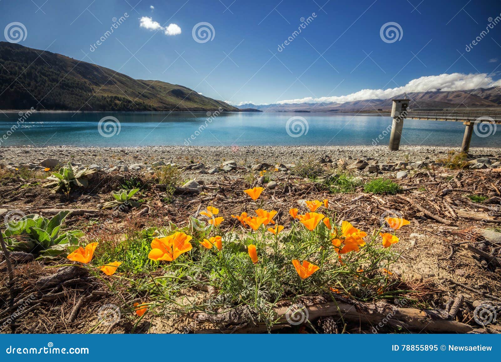 Lago Tekapo Na Ilha Sul , Nova Zelândia Imagem de Stock - Imagem de ...