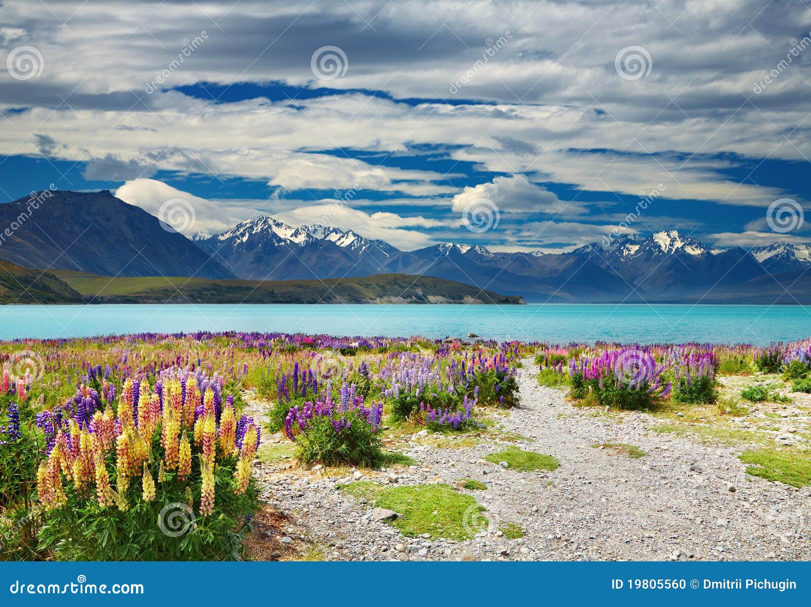 Lago Tekapo, Nuova Zelanda fotografia stock. Immagine di colorato ...