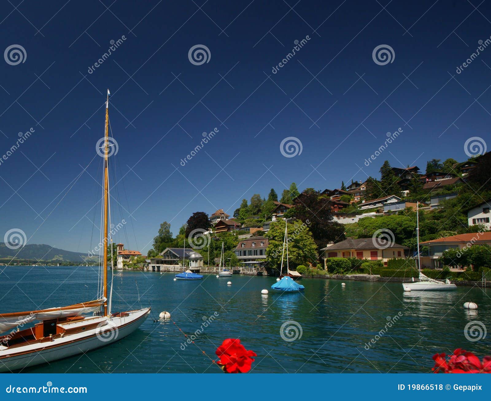 Lago Thun foto de archivo. Imagen de ciudad, marina, lago - 19866518