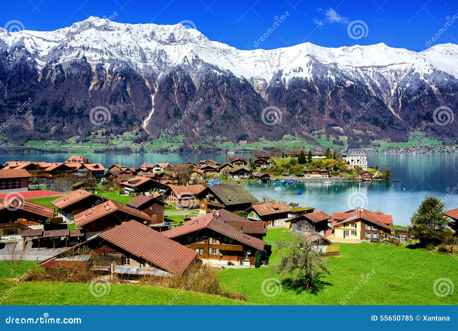 Lago Thun, Svizzera immagine stock. Immagine di campagna - 55650785