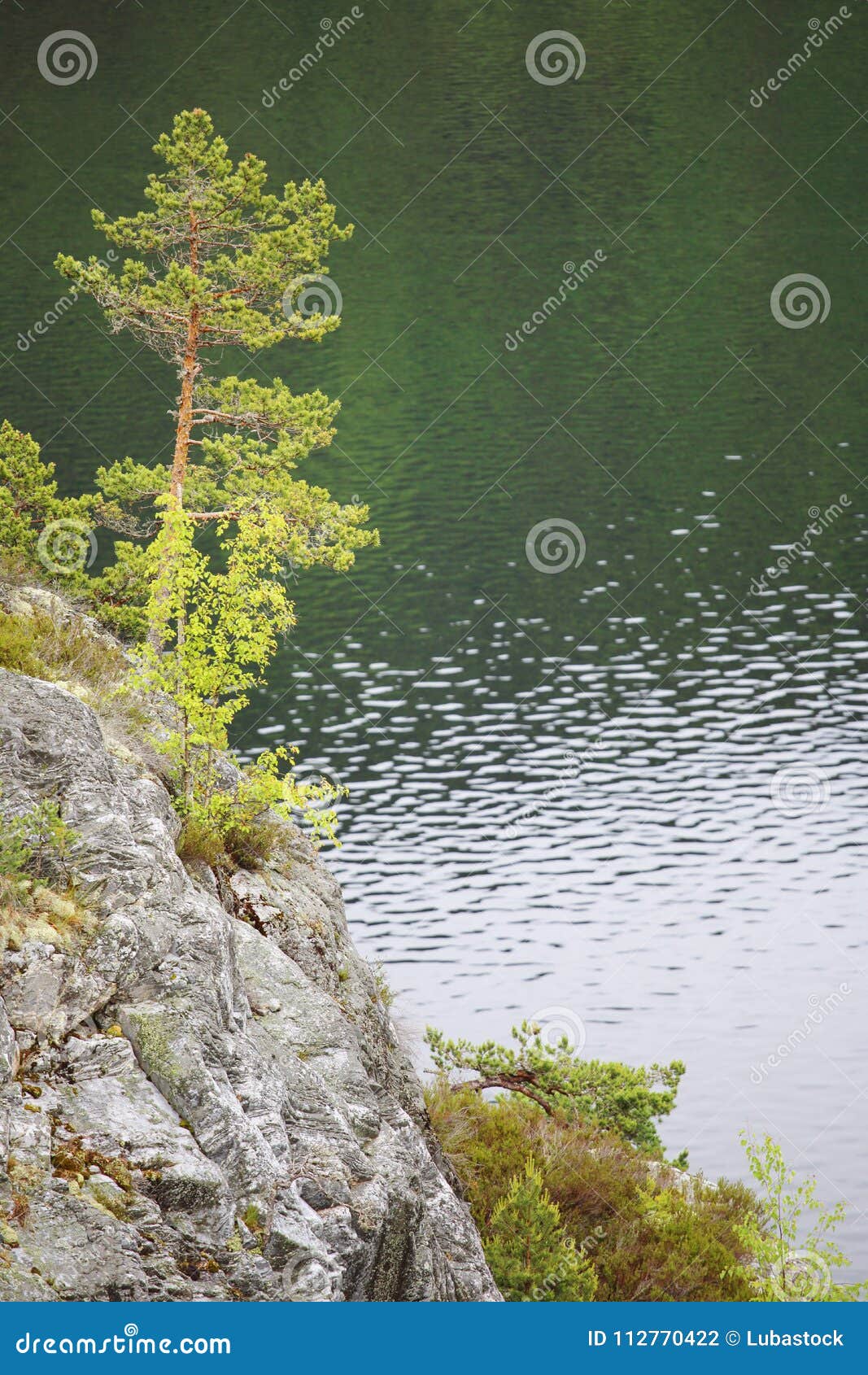 Lago Tinnsja, Noruega foto de archivo. Imagen de verano - 112770422