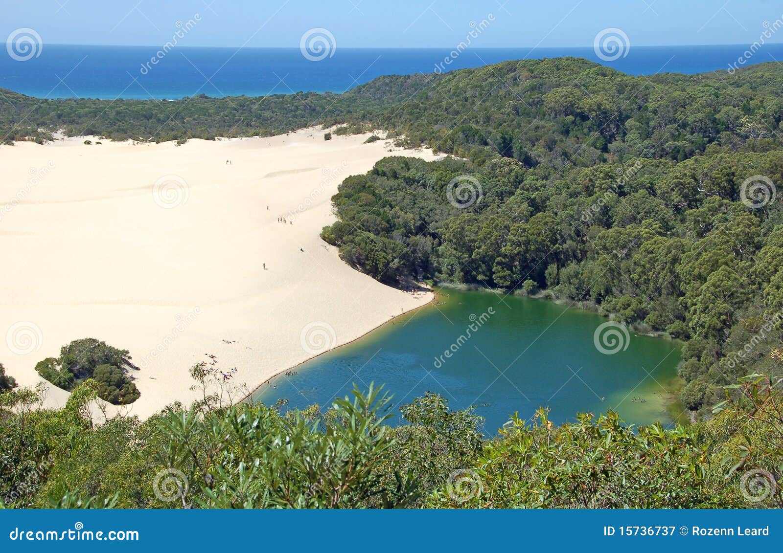 Lago Wabby, Isla De Fraser, Australia Imagen de archivo - Imagen de ...