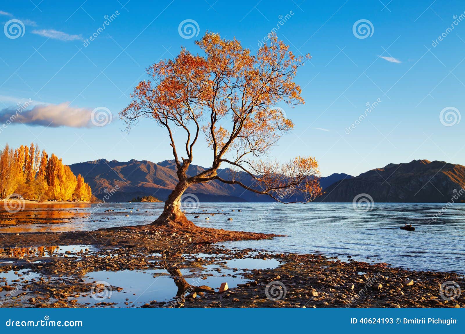 Lago Wanaka, Nueva Zelandia Imagen de archivo - Imagen de recorrido ...