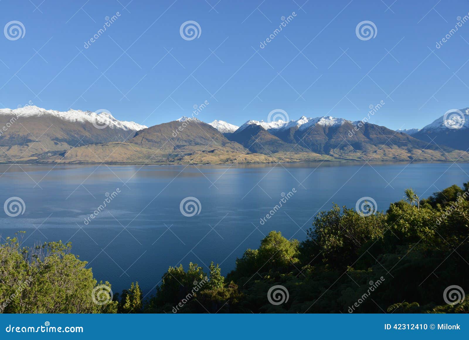 Lago Wanaka, Nuova Zelanda fotografia stock. Immagine di flora - 42312410