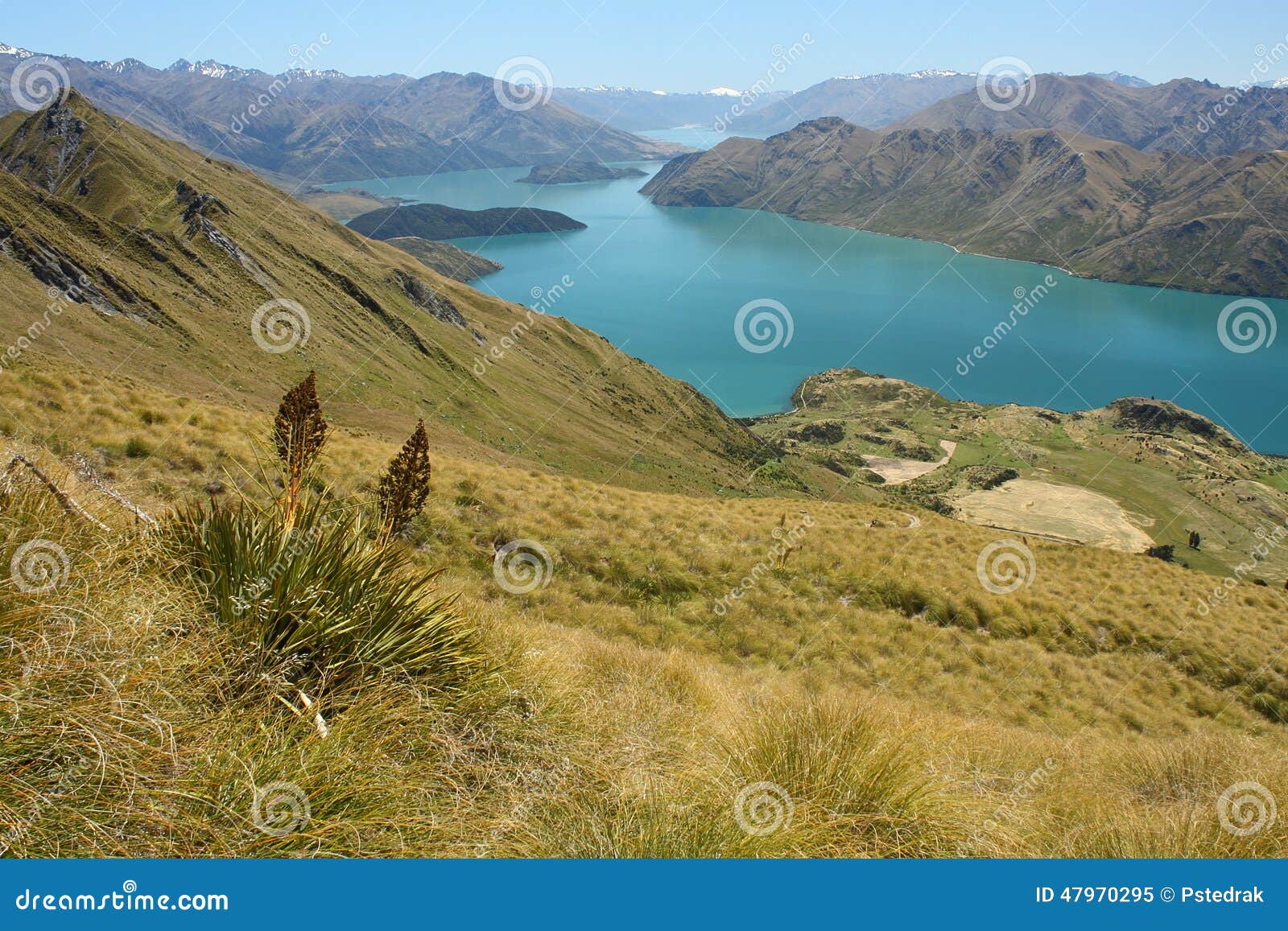 Lago Wanaka, Nuova Zelanda immagine stock. Immagine di vista - 47970295