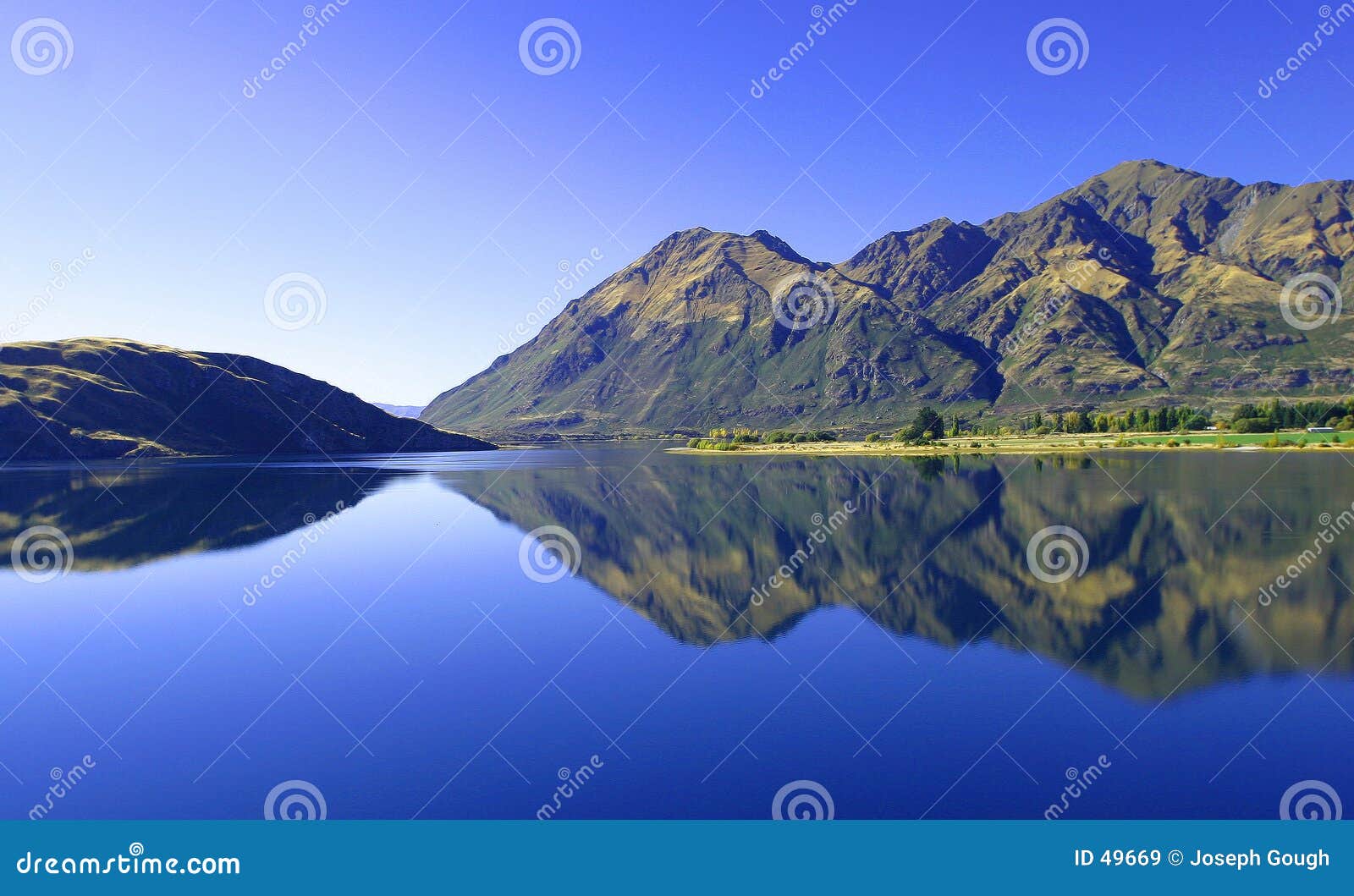 Lago Wanaka, Nuova Zelanda immagine stock. Immagine di fogliame - 49669