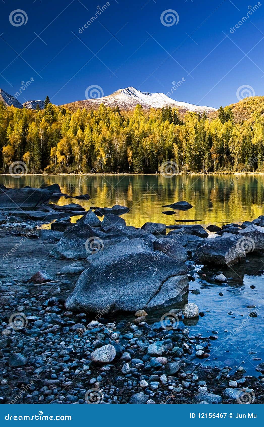 Lago y bosque imagen de archivo. Imagen de picos, escénico - 12156467
