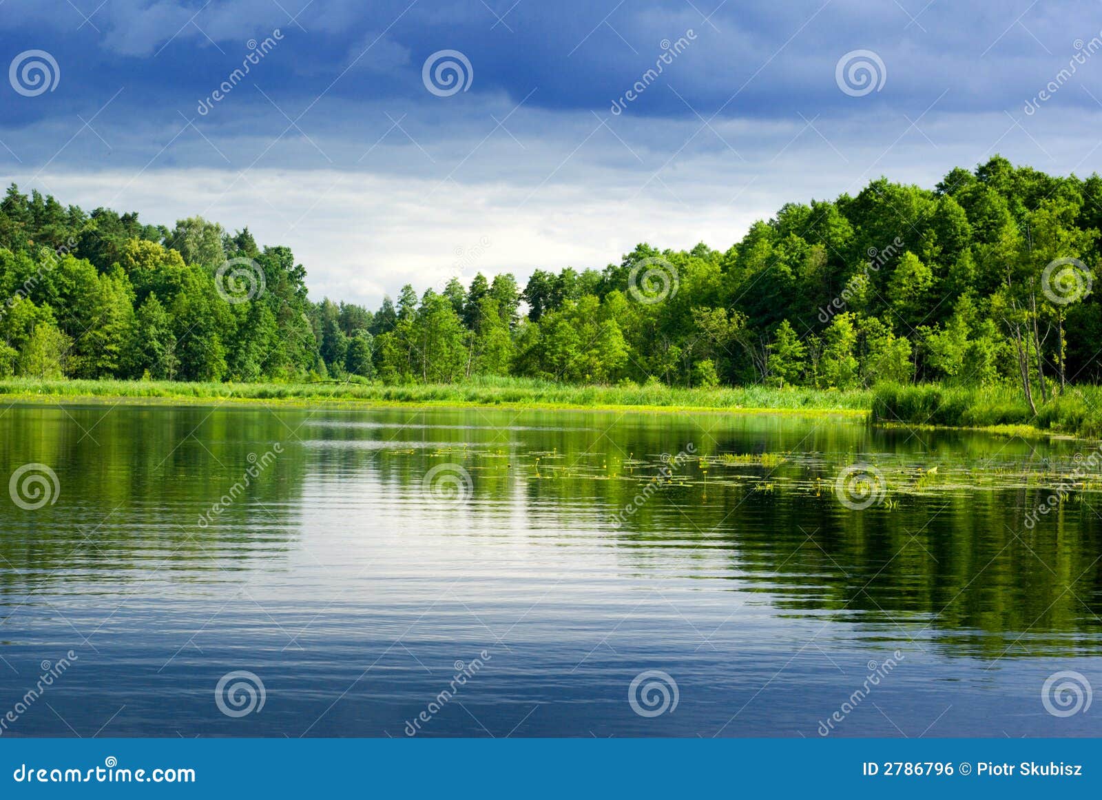 Lago y bosque. foto de archivo. Imagen de travieso, nubes - 2786796