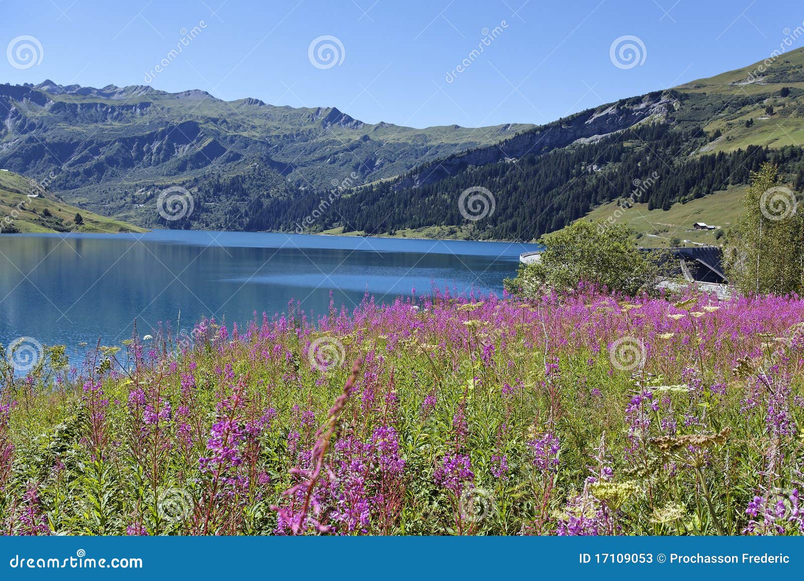 Lago y flores imagen de archivo. Imagen de chalé, recorrido - 17109053