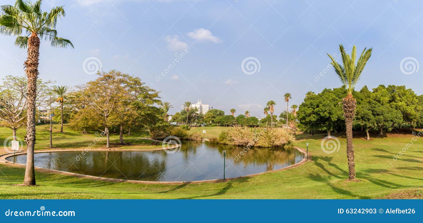 A Lagoa Artificial No Parque Foto de Stock Editorial - Imagem de ...