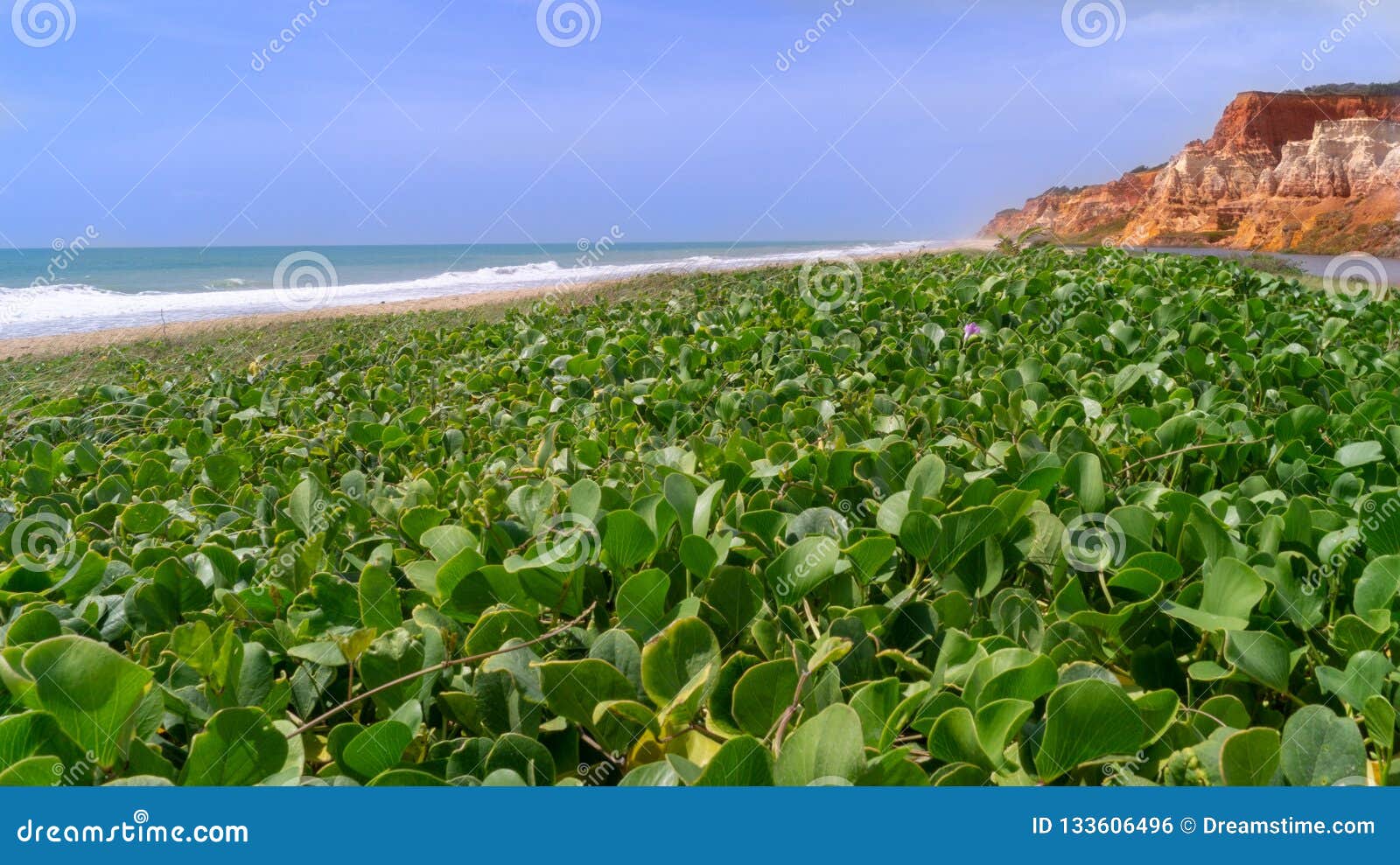 Lagoa Do Roteiro Na Praia Do Gunga Foto de Stock - Imagem de praia ...