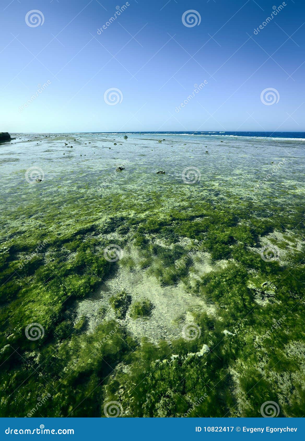 Lagoon stock image. Image of wave, lagoon, swimming, water - 10822417