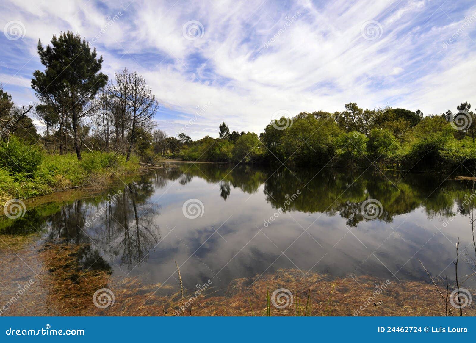 Lagoon stock photo. Image of blue, outdoors, landscape - 24462724