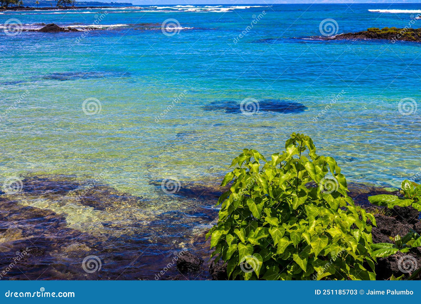 Lagoon coastline in Hilo stock image. Image of hilo - 251185703