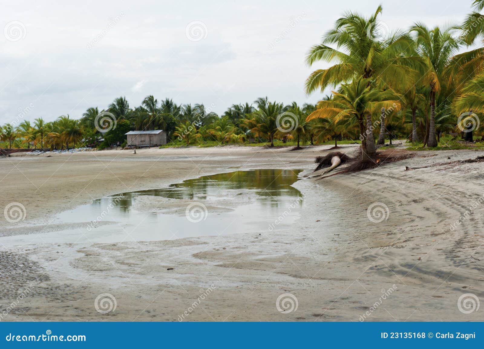 Lagoon drained stock photo. Image of green, drained, vacation - 23135168