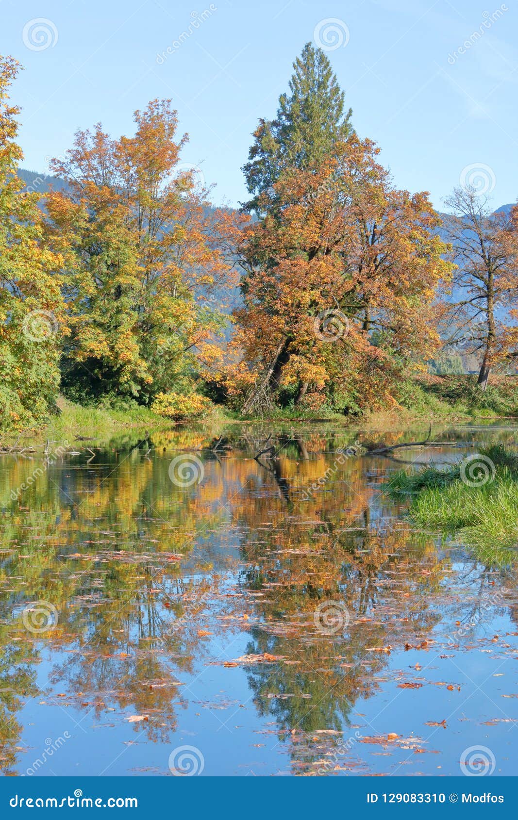Lagoon in Fall and Colors stock photo. Image of countryside - 129083310