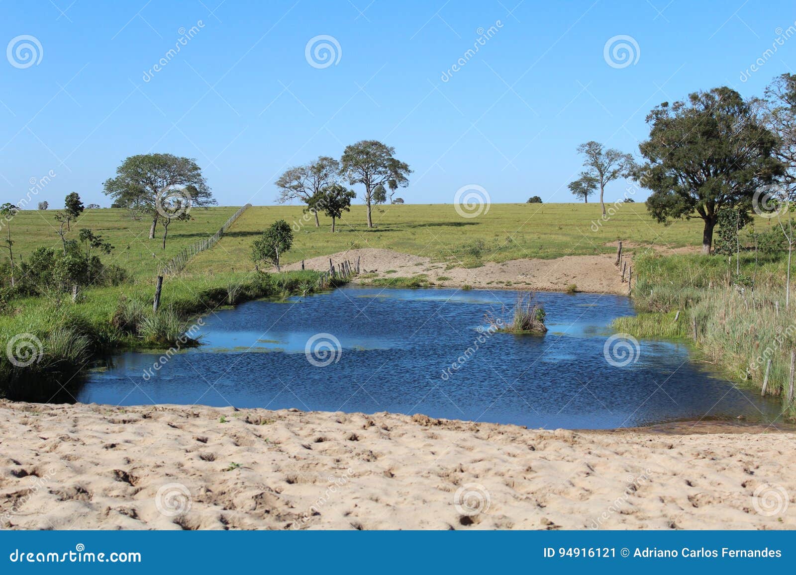 Lagoon stock image. Image of water, beauty, nature, trees - 94916121