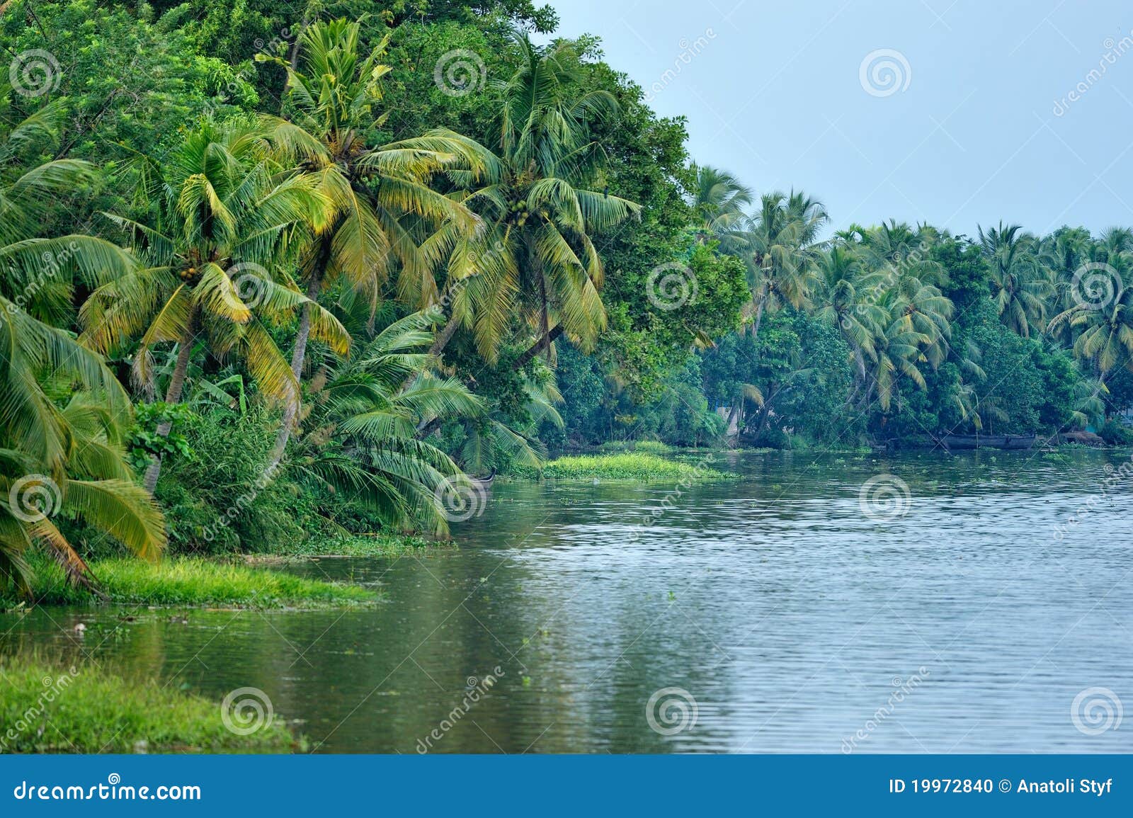 Lagoon in India stock photo. Image of coastline, panorama - 19972840