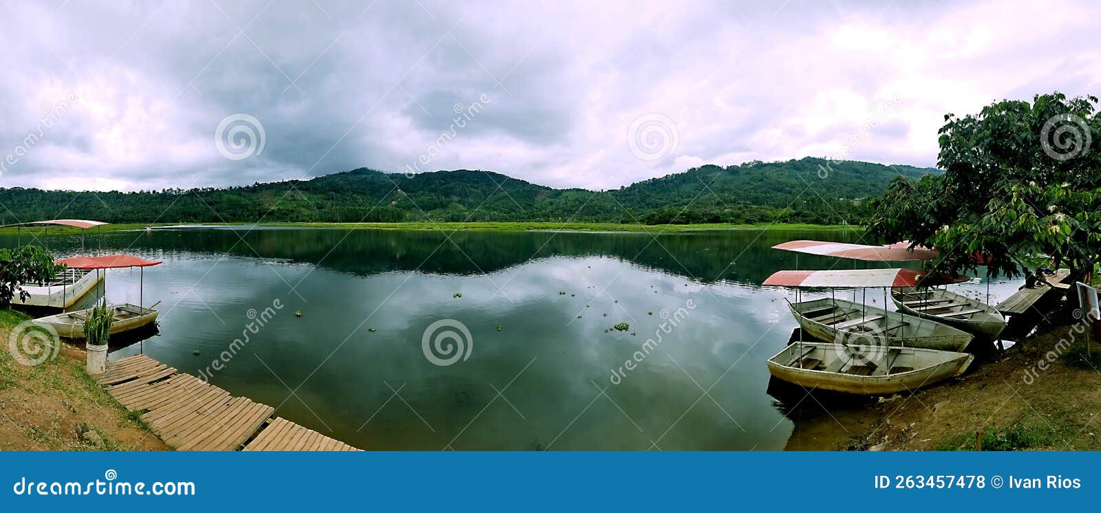 Lagoon, Jungle, Swamp, Nature, Holidays Stock Photo - Image of perú ...