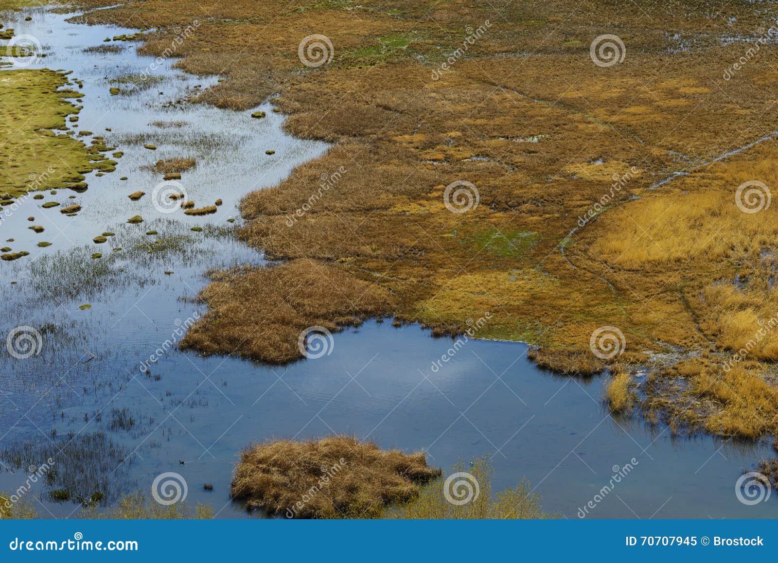 Lagoon Landscape of Bird Aerial View Stock Image - Image of view, lake ...