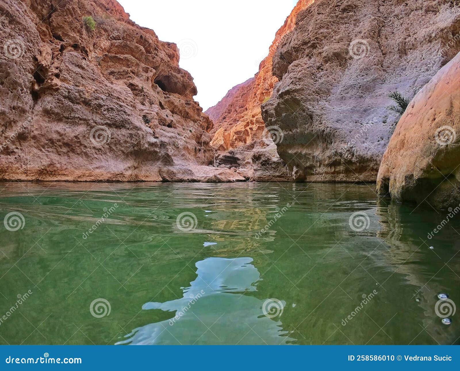 Lagoon with Turquoise Water in Wadi Shab Stock Photo - Image of deep ...