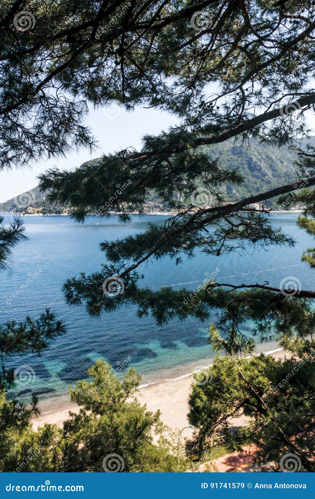 Lagoon view thorugh trees stock image. Image of cove - 91741579