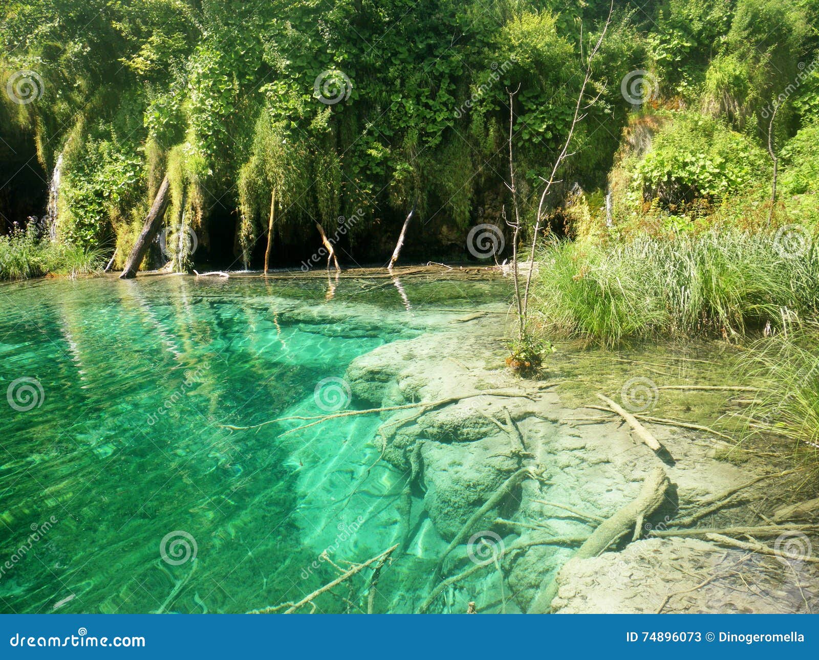 1,388 Lagos Verdes Transparentes Plitvice Fotos - Libres de Derechos y ...