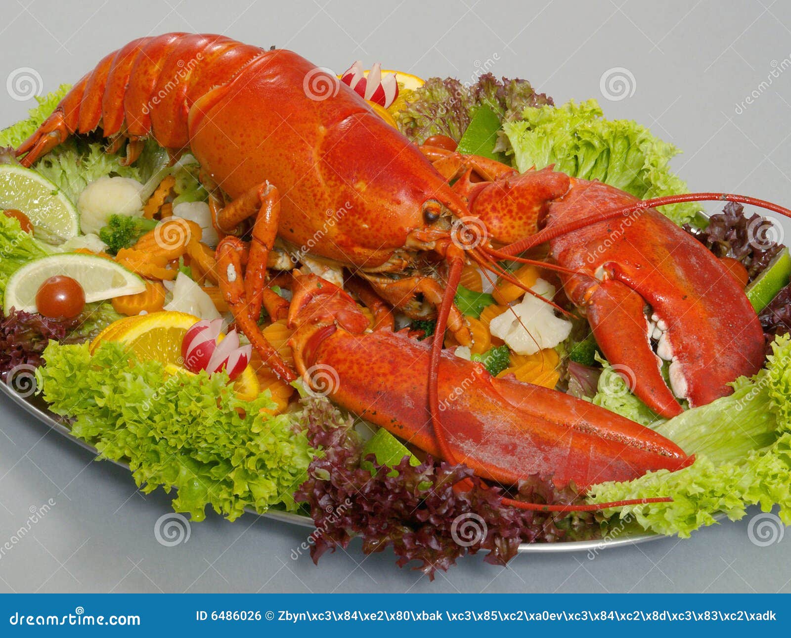 Lagosta 2 foto de stock. Imagem de delicadeza, restaurante - 6486026