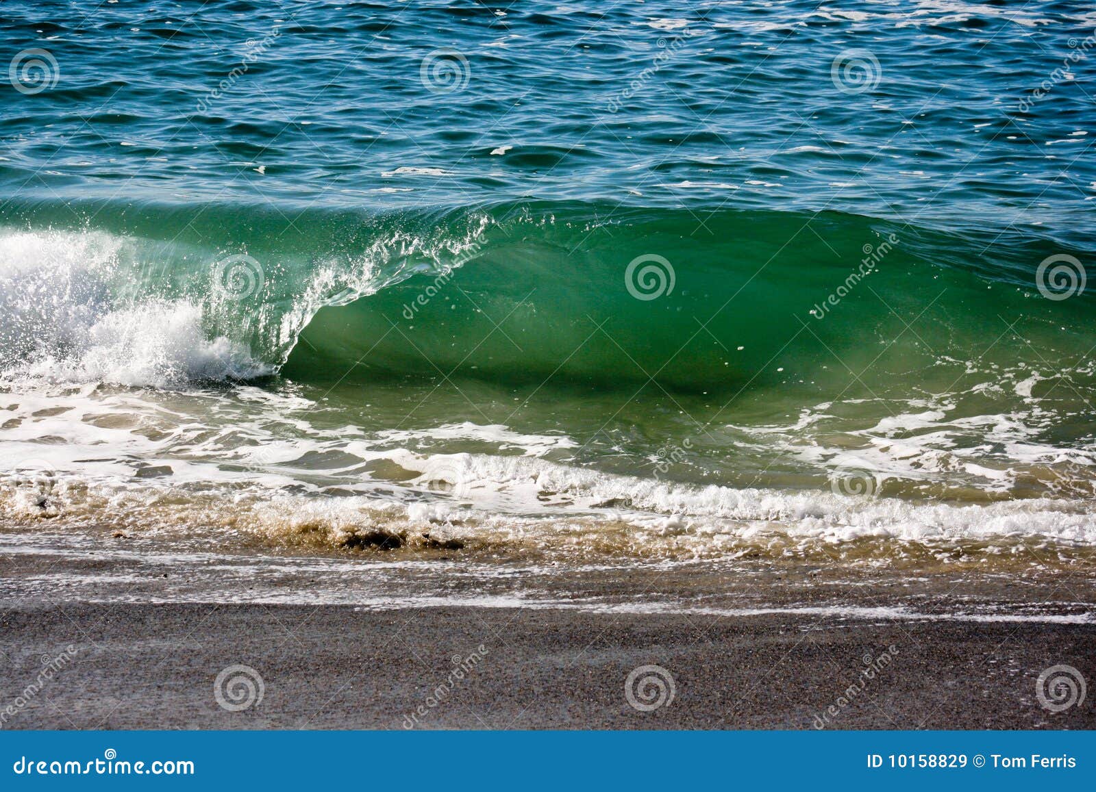 Laguna Beach Shorebreak stock image. Image of surfing - 10158829