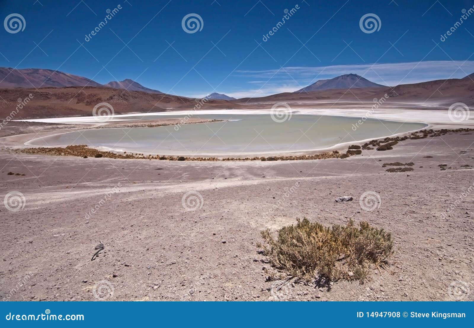 Laguna Blanco in Bolivia stock photo. Image of landscape - 14947908