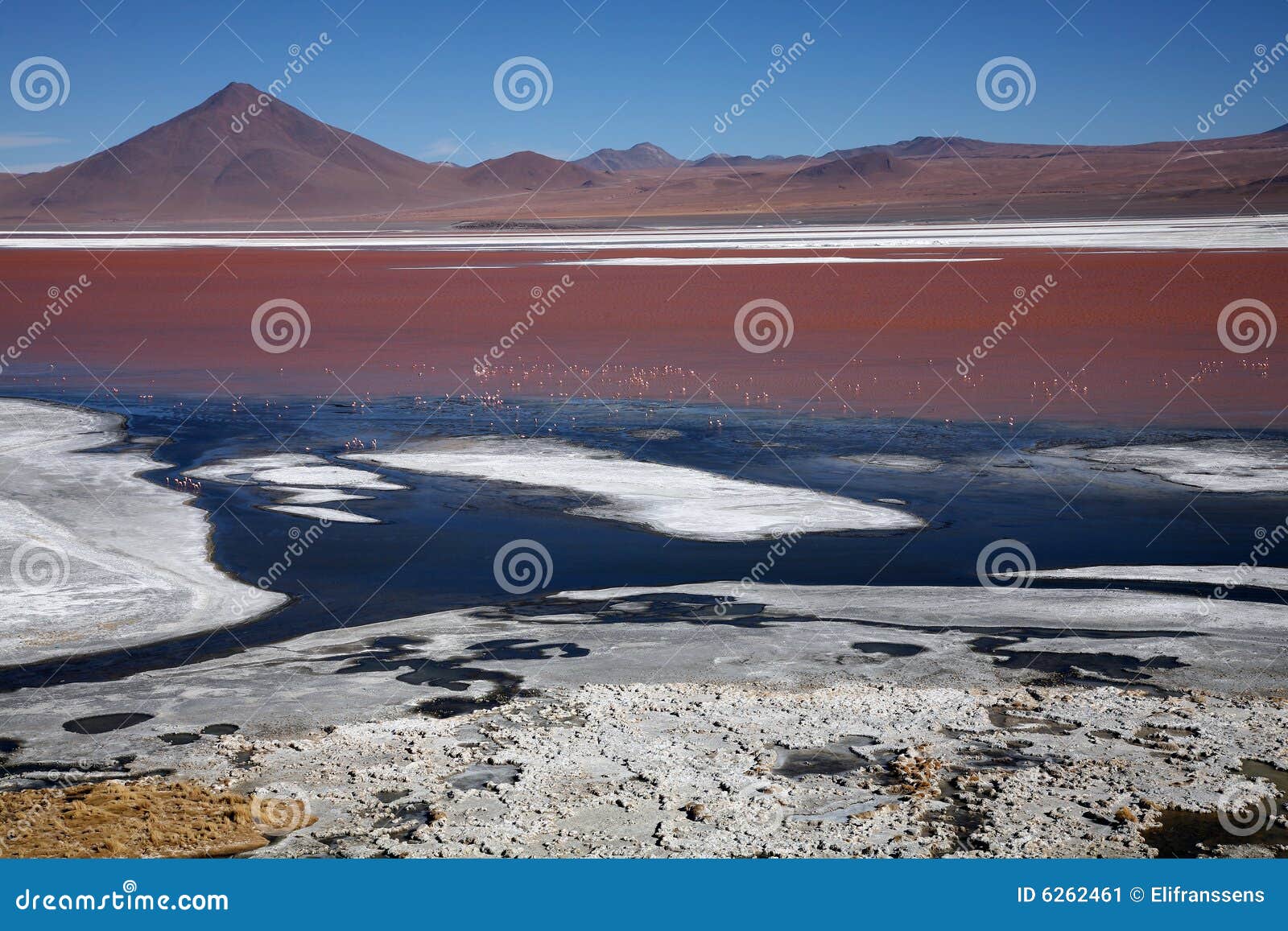 Laguna Colorada, Bolivia stock image. Image of destination - 6262461
