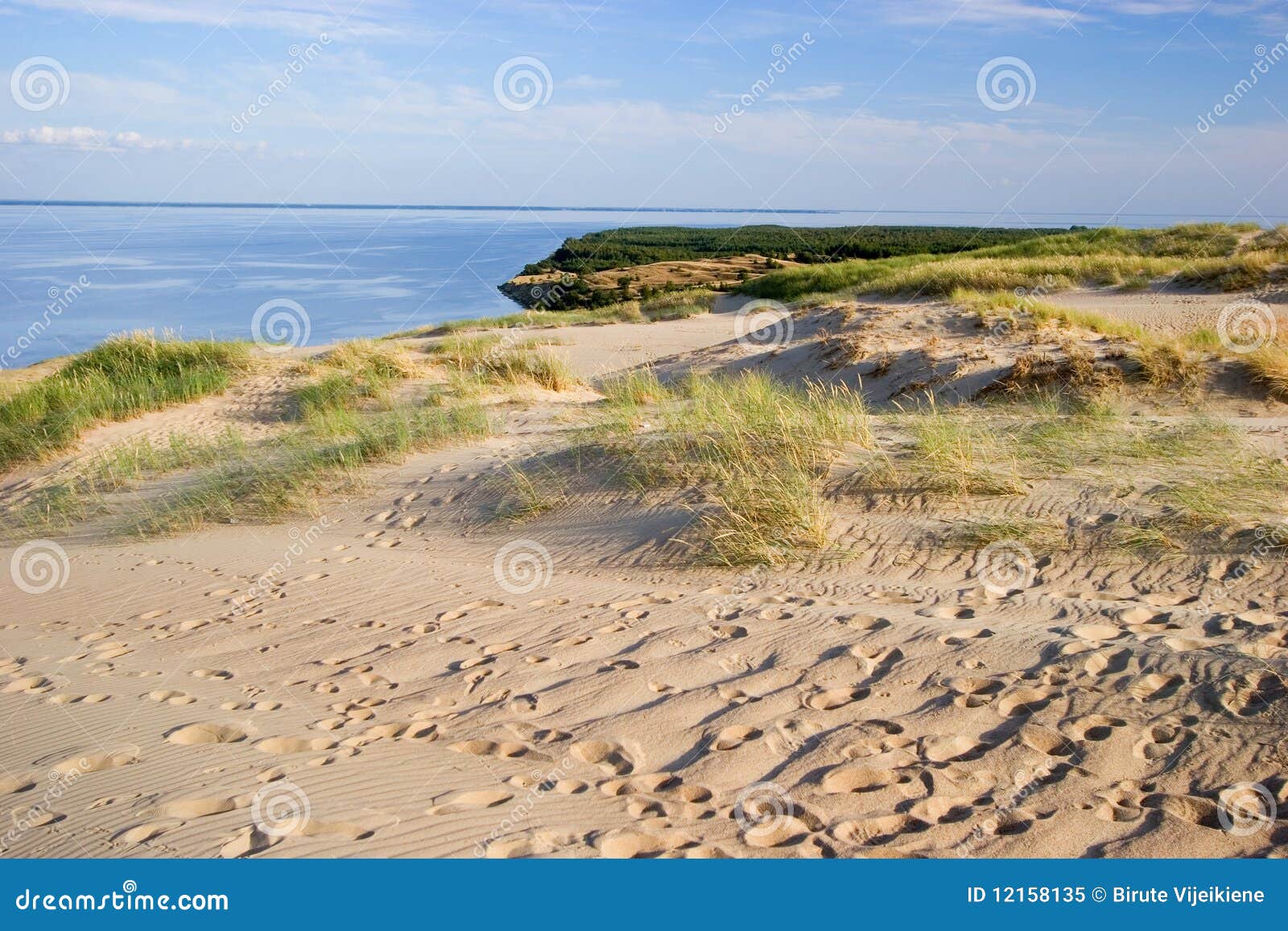 Laguna de Curonian imagen de archivo. Imagen de playa - 12158135