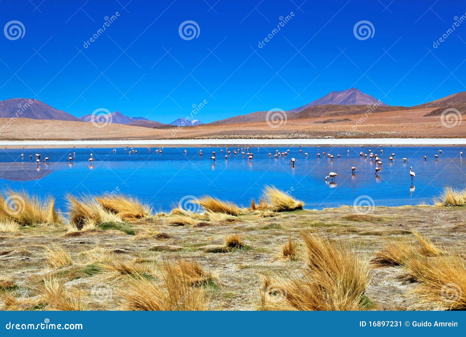 Laguna Desert, Bolivia stock image. Image of panoramic - 16897231