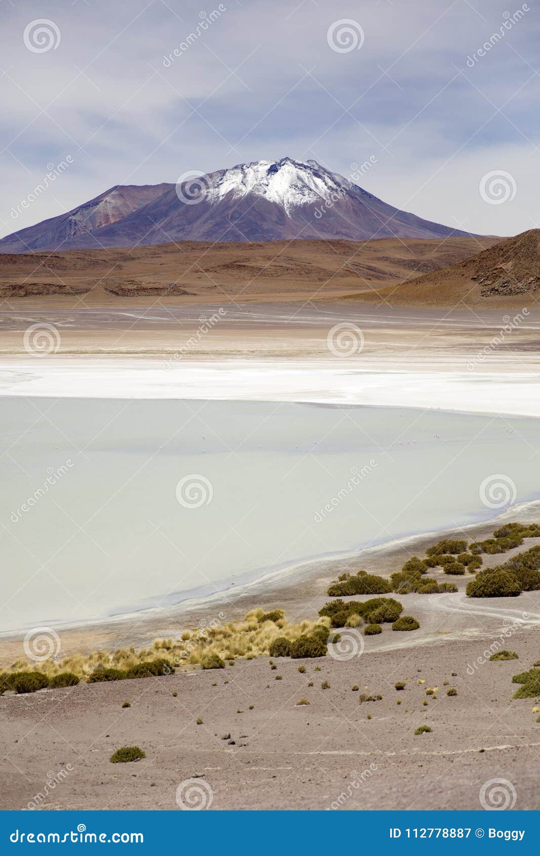 Laguna Hedionda en Bolivia imagen de archivo. Imagen de colina - 112778887