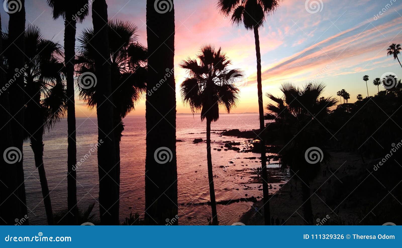 Laguna palm trees stock photo. Image of beach, nigjt - 111329326
