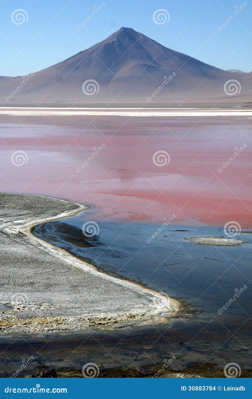 Laguna roja Bolivia stock photo. Image of mountain, landscape - 30883784