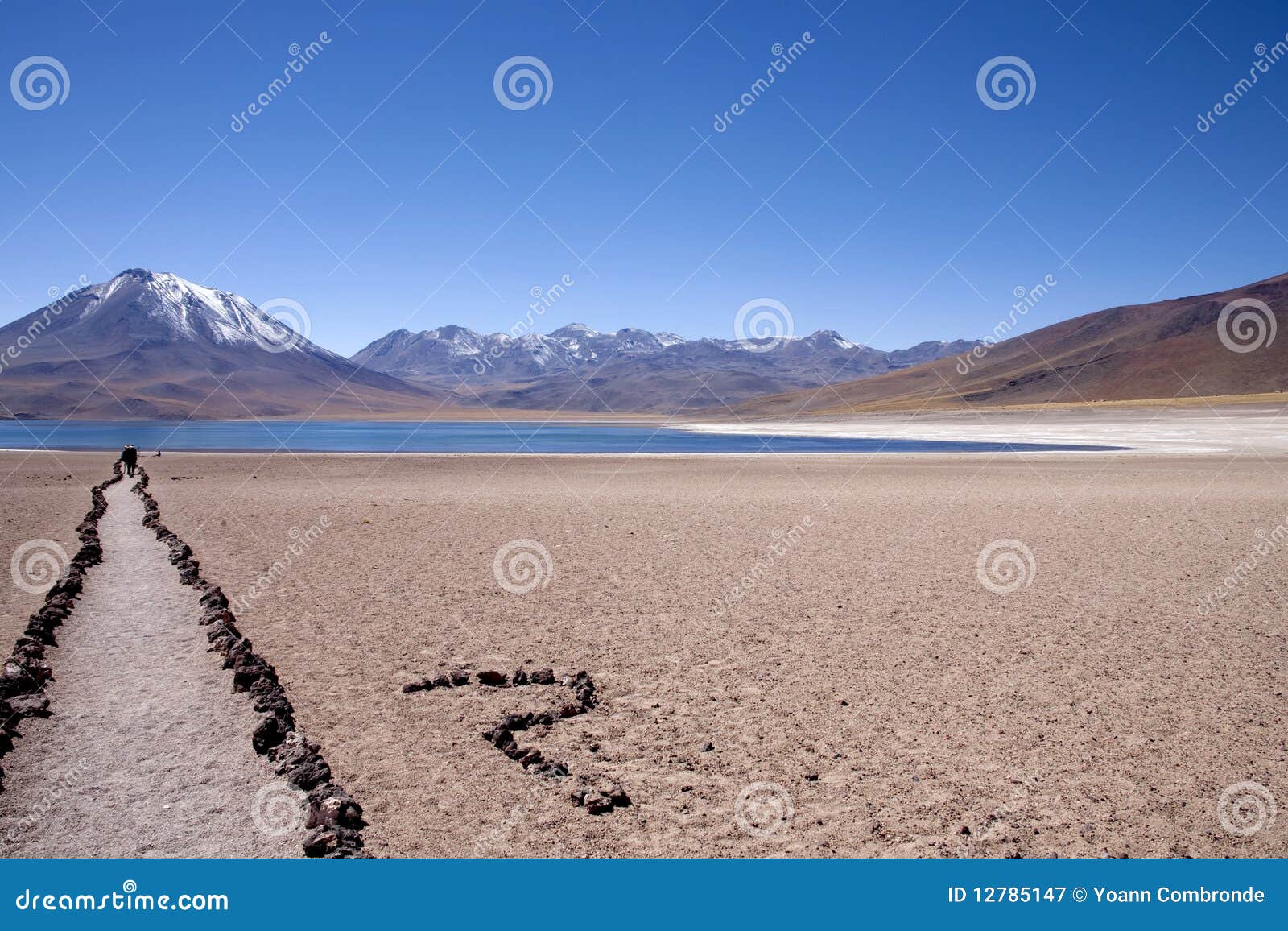 Lagunas Miscanti and Meniques Stock Image - Image of vicuna, snow: 12785147