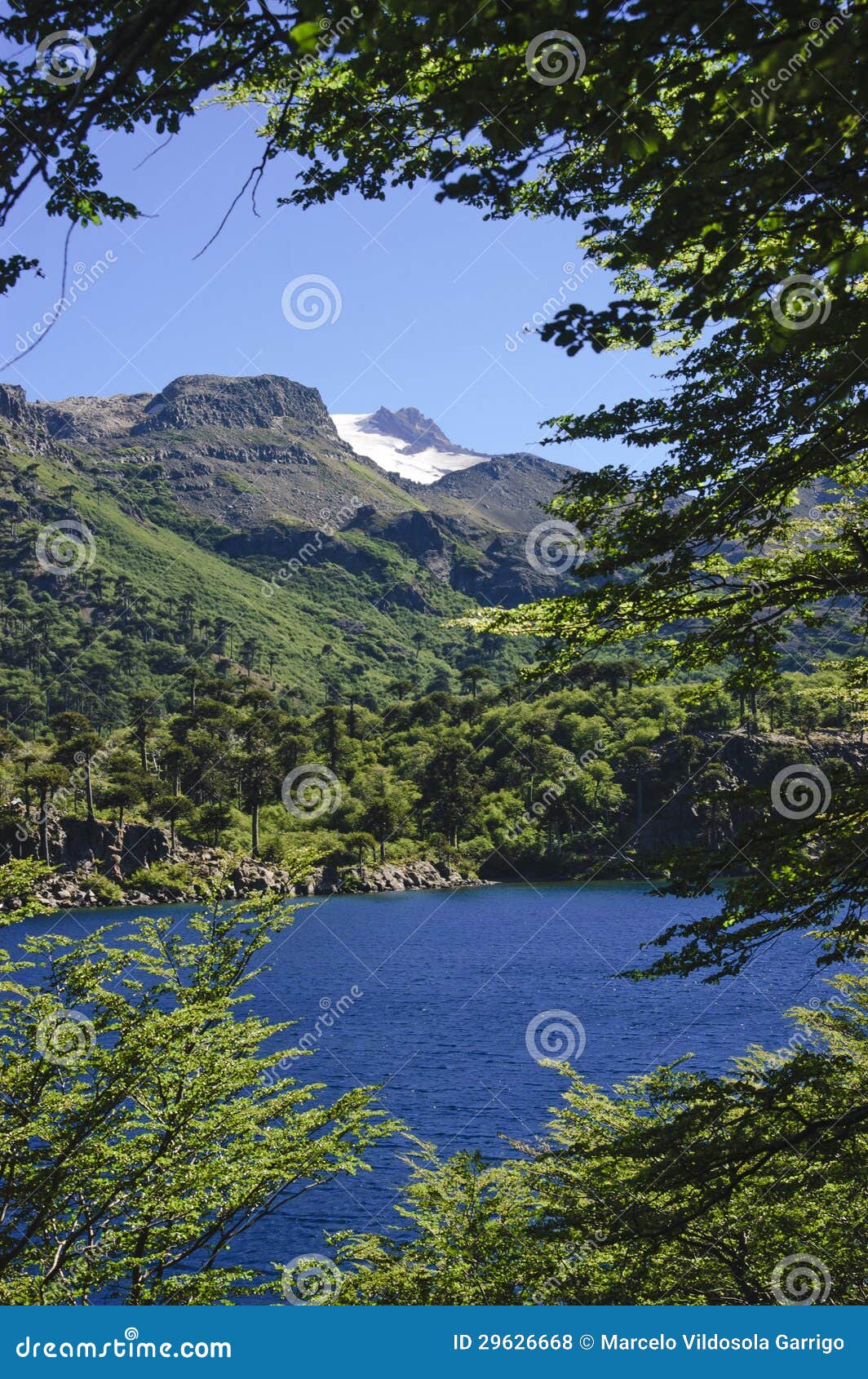 Lagune photo stock. Image du nature, végétation, indigène - 29626668