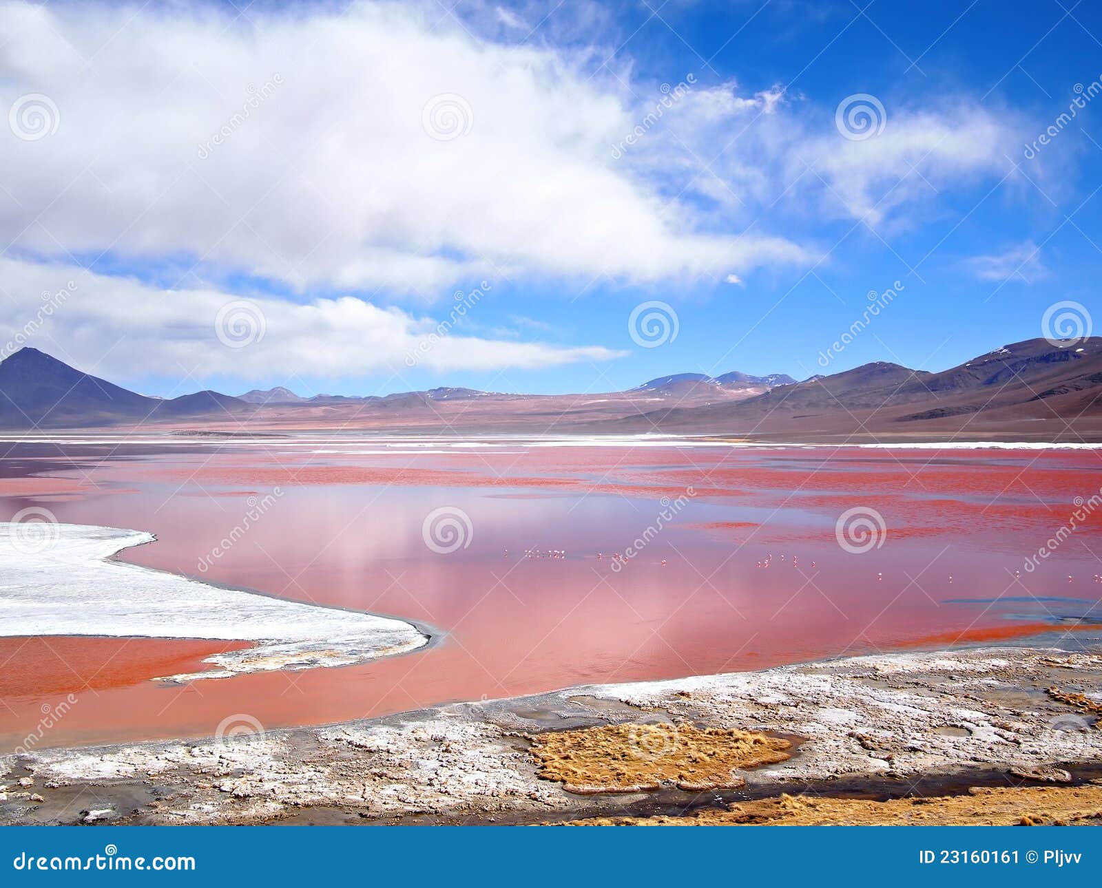 Lagune Rouge, Laguna Colorada Image stock - Image du montagnes, désert ...