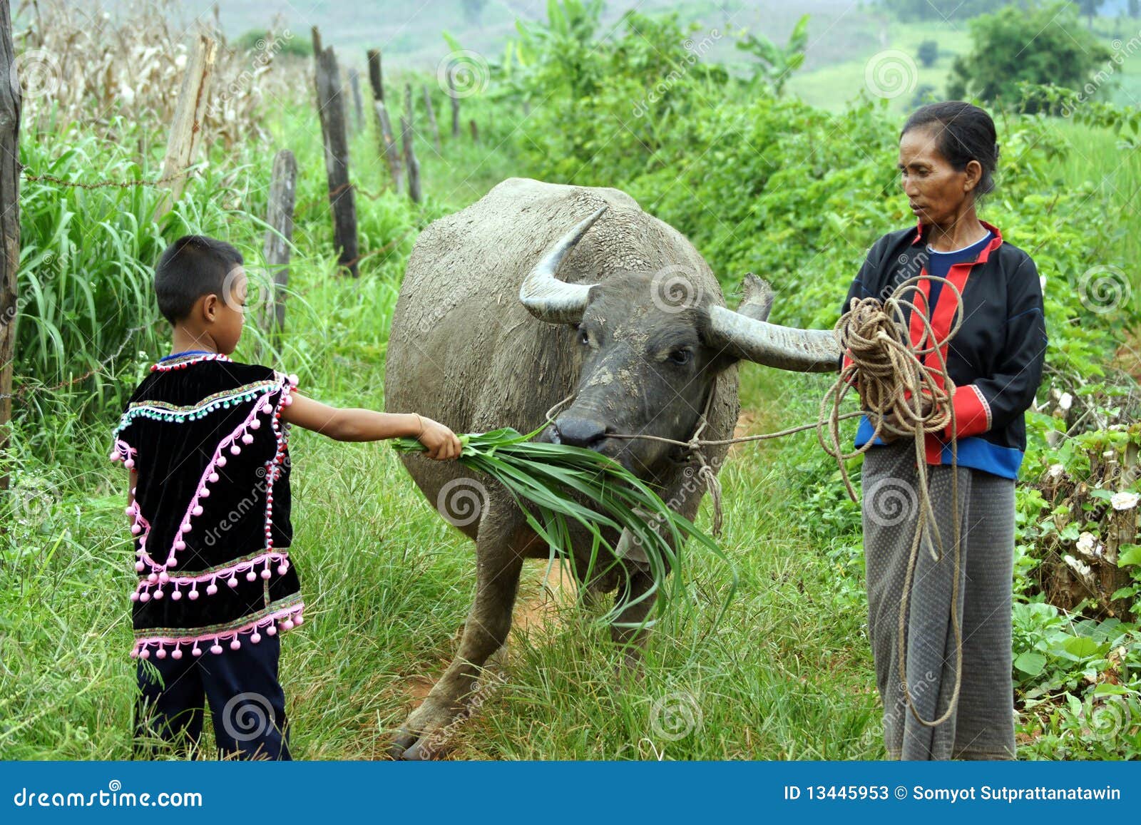 Lahu hill tribe editorial stock photo. Image of green - 13445953