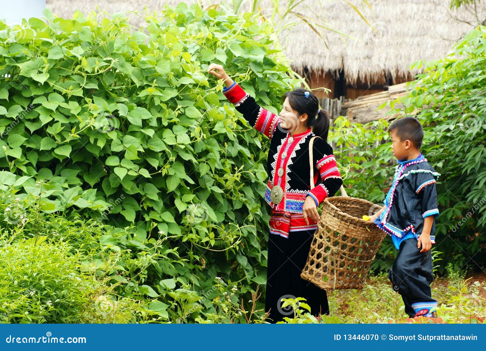 Lahu hill tribe editorial image. Image of vegetable, tribe - 13446070