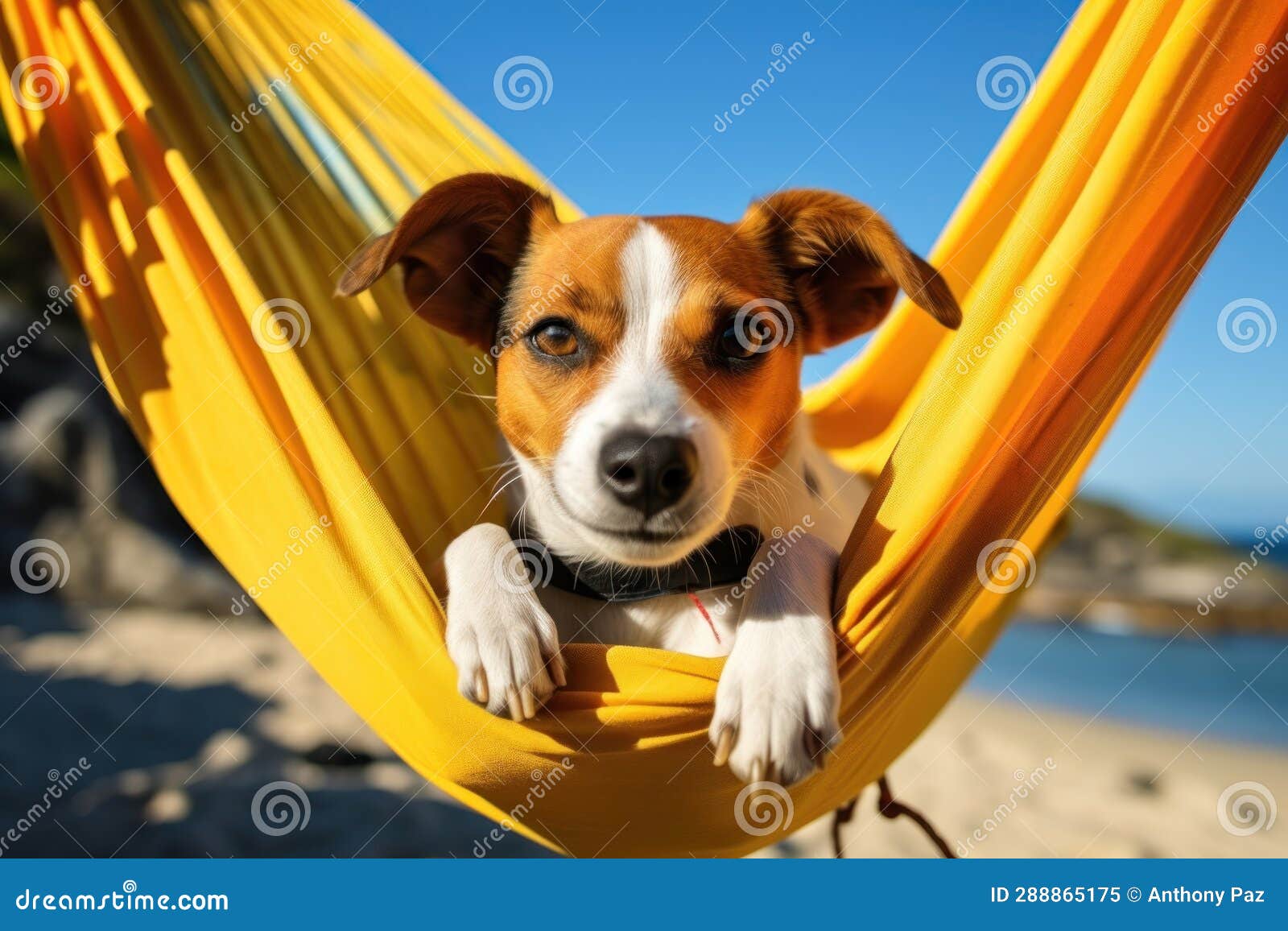 Laid-Back Jack Russell: Unwinding on Vacation on the Beach. Generative ...